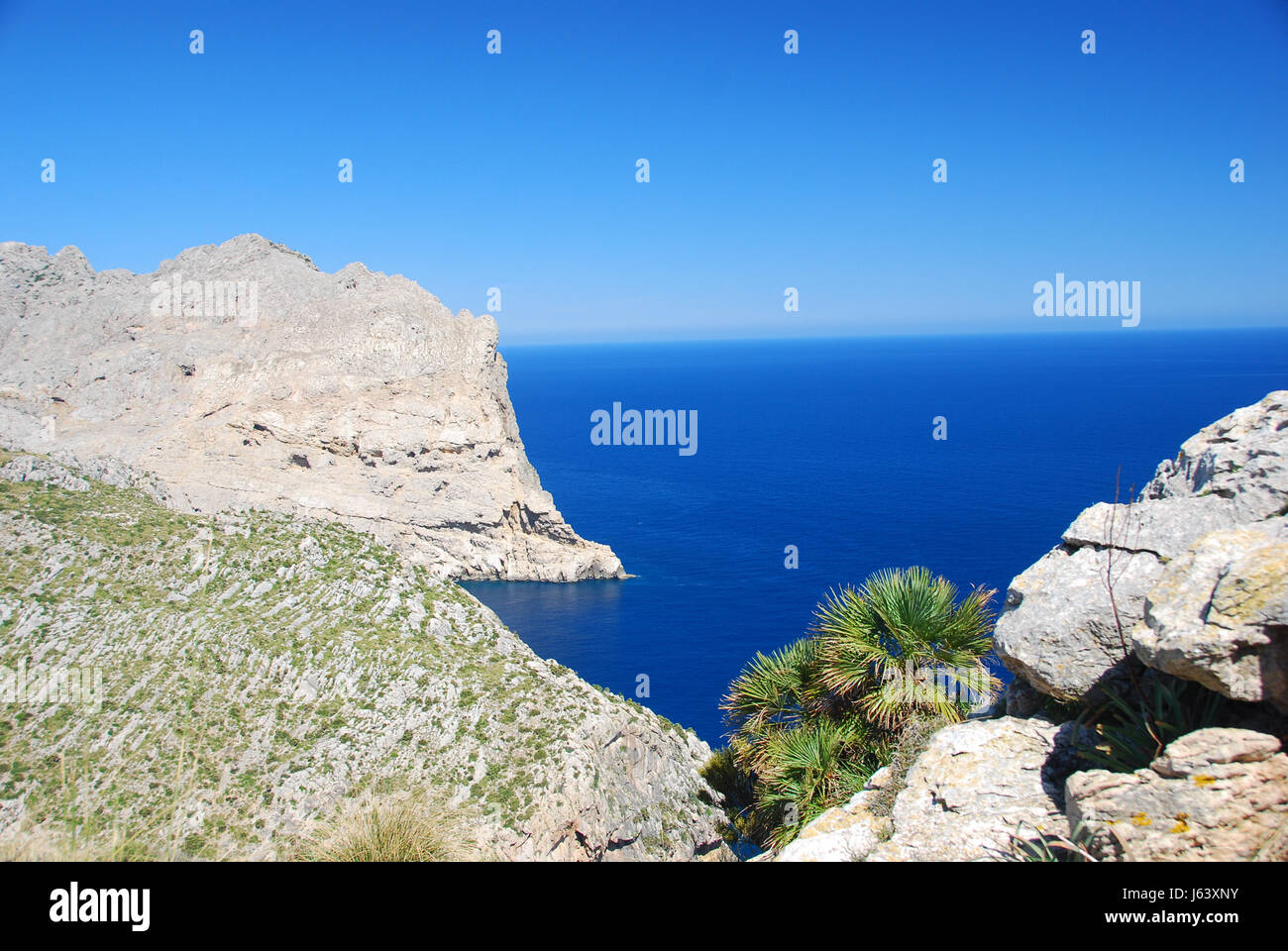 mallorca tropical salt water sea ocean water blue mallorca summer ...