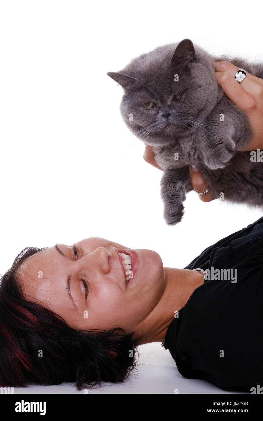 young woman with cat Stock Photo - Alamy
