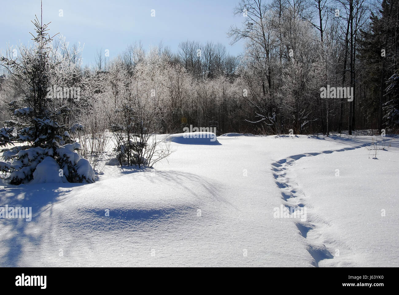 blue winter snow coke cocaine material drug anaesthetic addictive drug ...