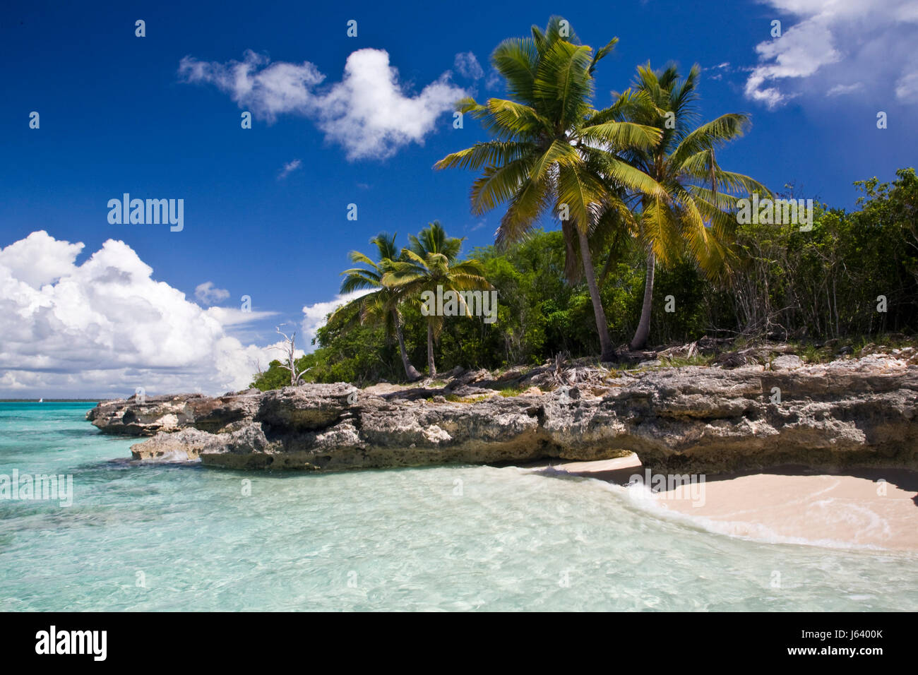 beach seaside the beach seashore rock palms caribbean salt water sea ...