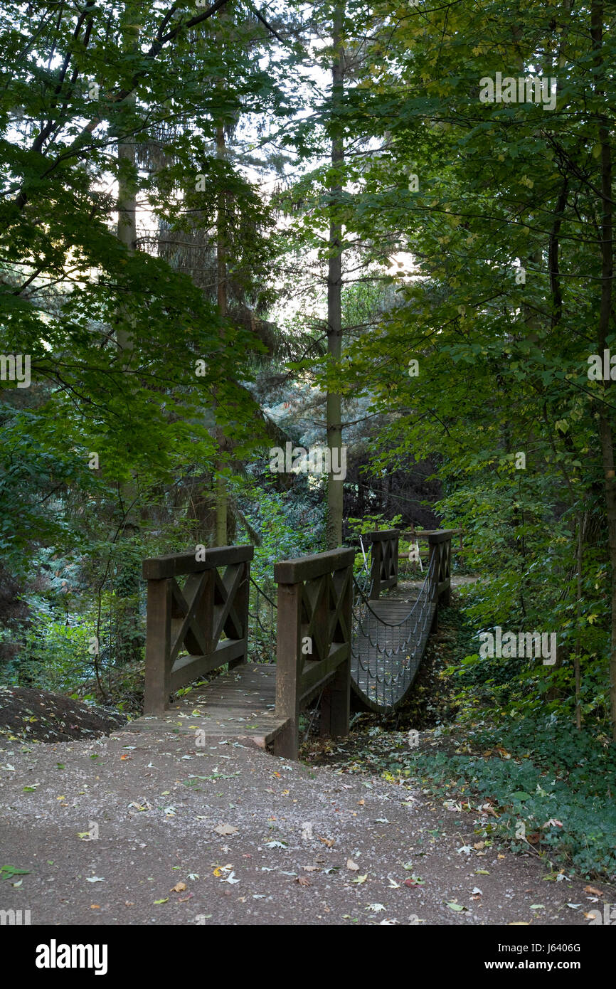 tree park bridge suspension bridge path way tree trees park wood bridge ...