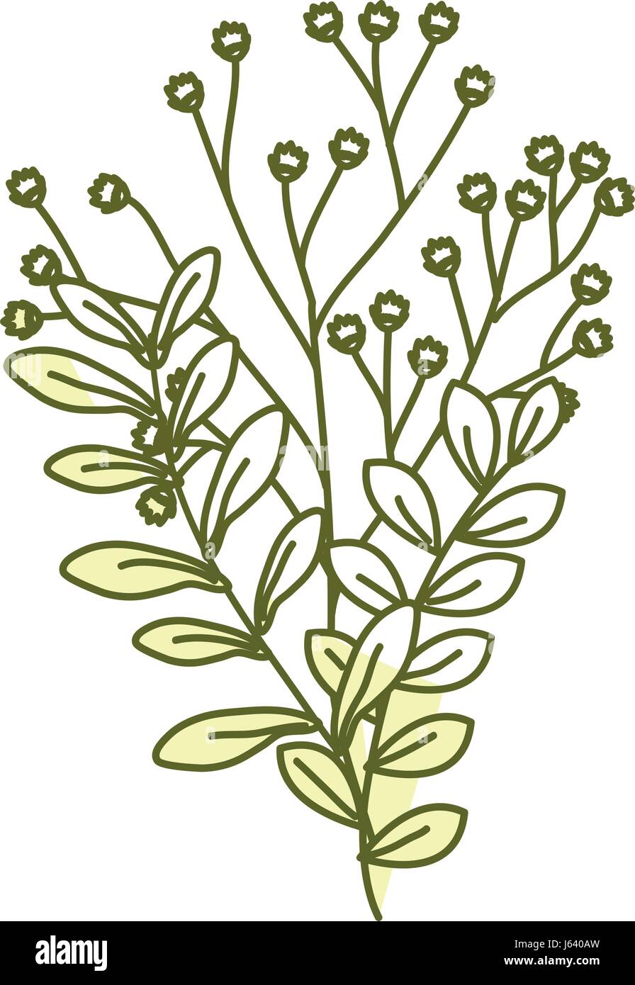 leafs plant decorative icon Stock Vector Image & Art - Alamy
