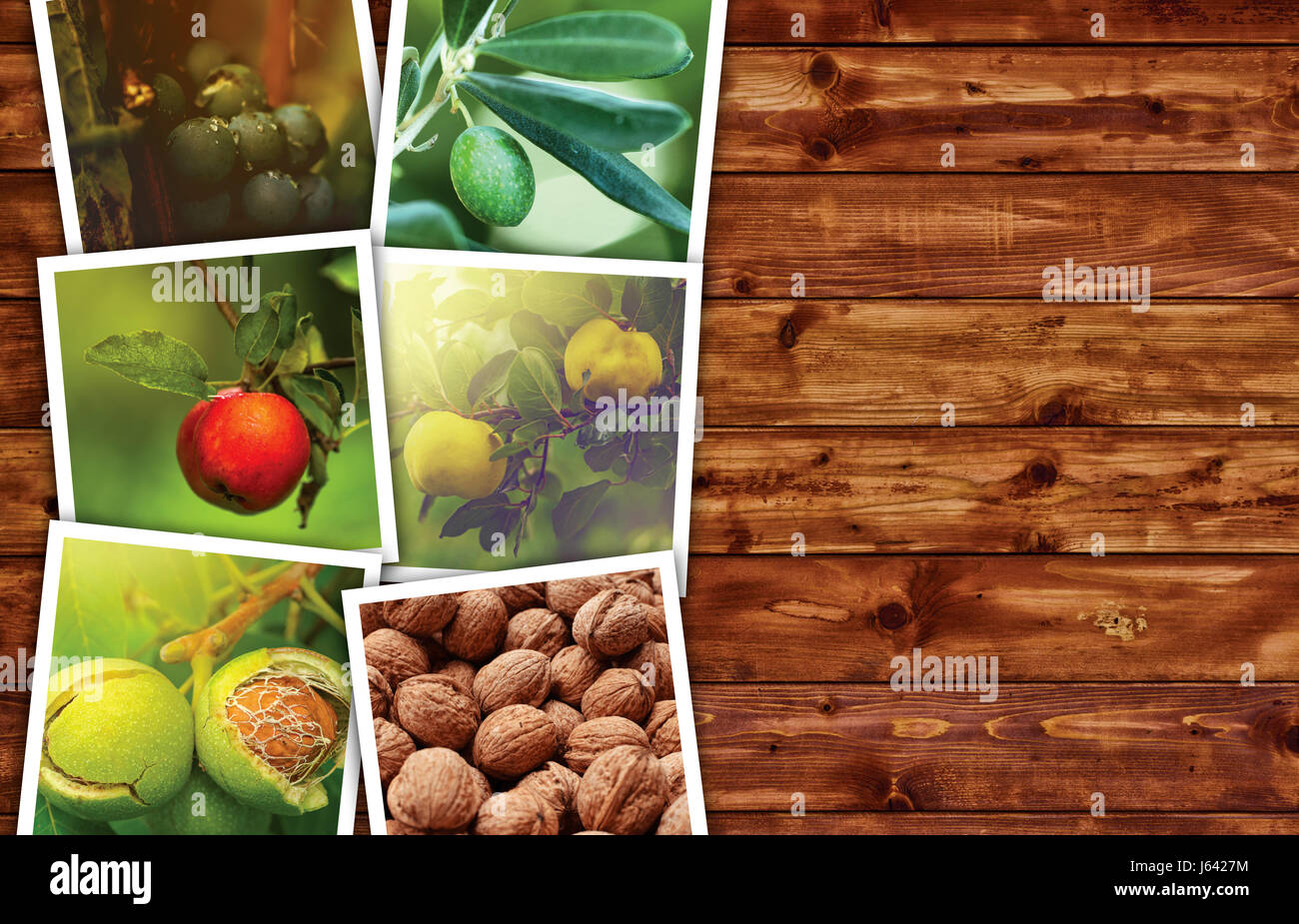 Organic fruit production, photo collage with copy space - various fruit ...