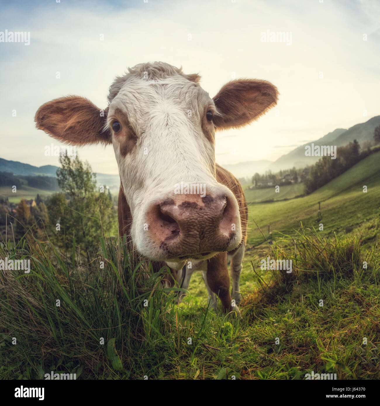 Fish eye lens camera hi-res stock photography and images - Alamy