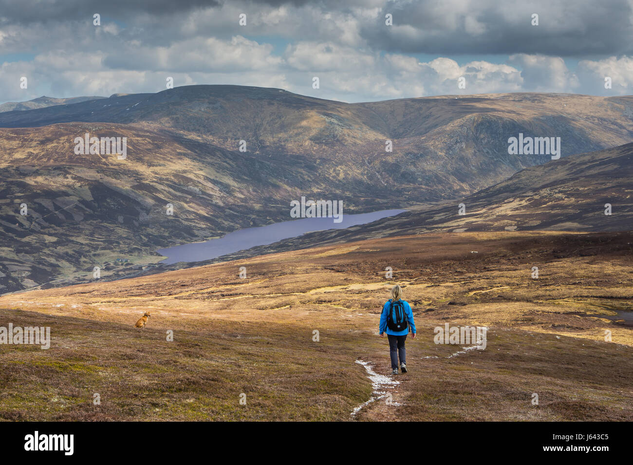 A walker approaches Loch Callater on the descent from the mountain of ...