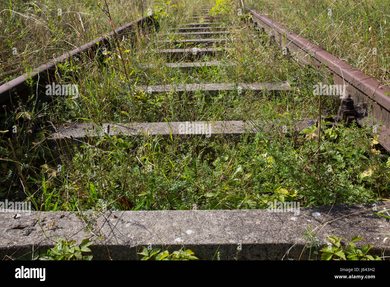 Abandoned train tracks hi-res stock photography and images - Alamy