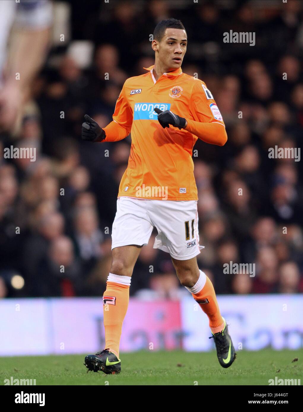 Tom ince england hi-res stock photography and images - Alamy