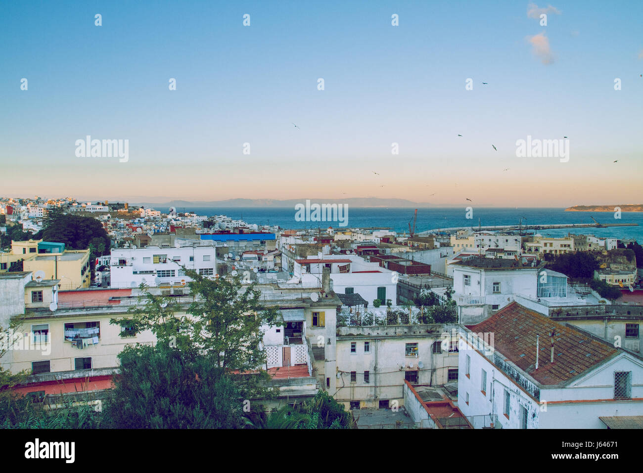 City view, Tanger, Marocco, Africa, 2013, Nature, buildings and ...