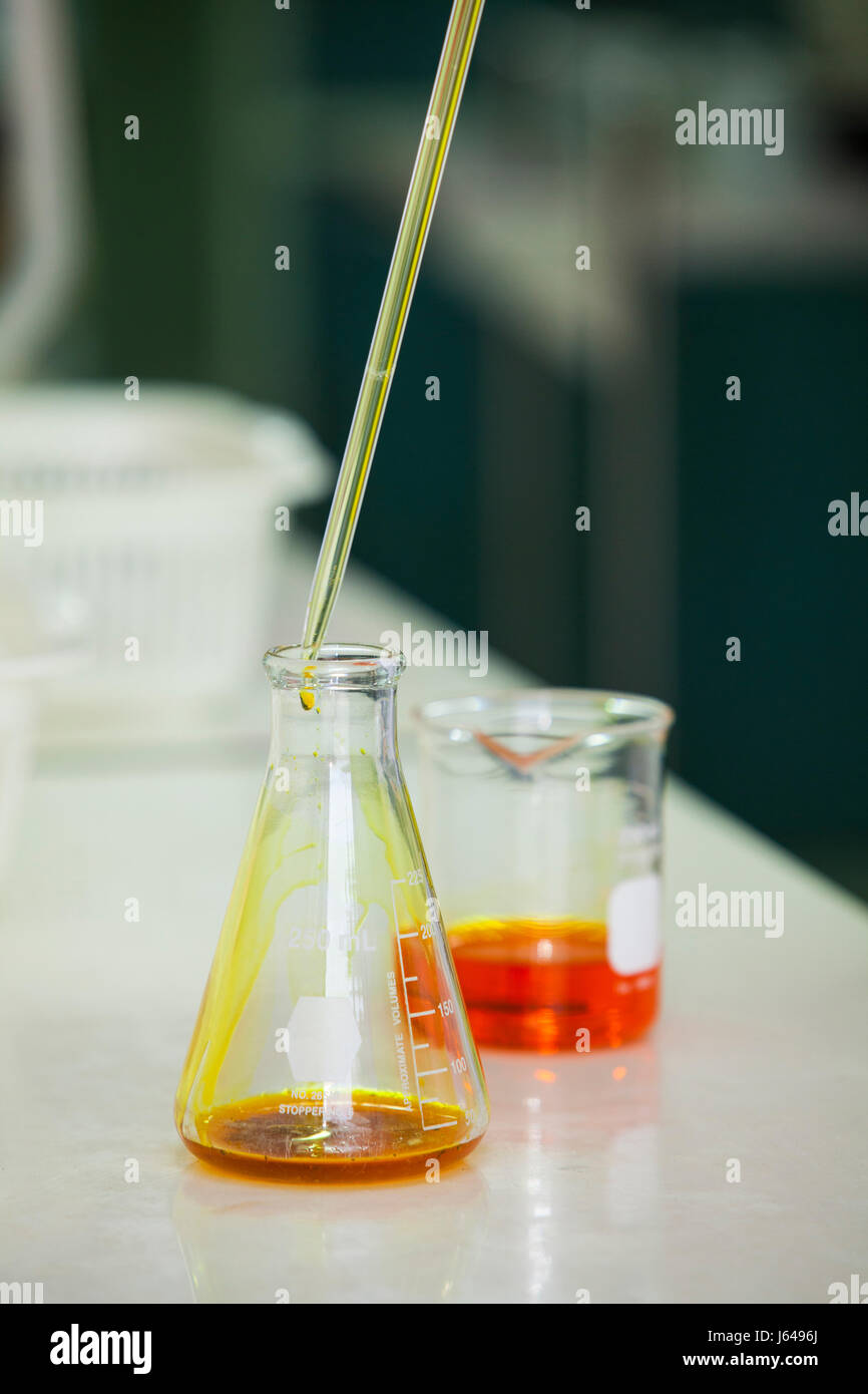 researcher working in a biotechnology lab / biochemical engineer ...