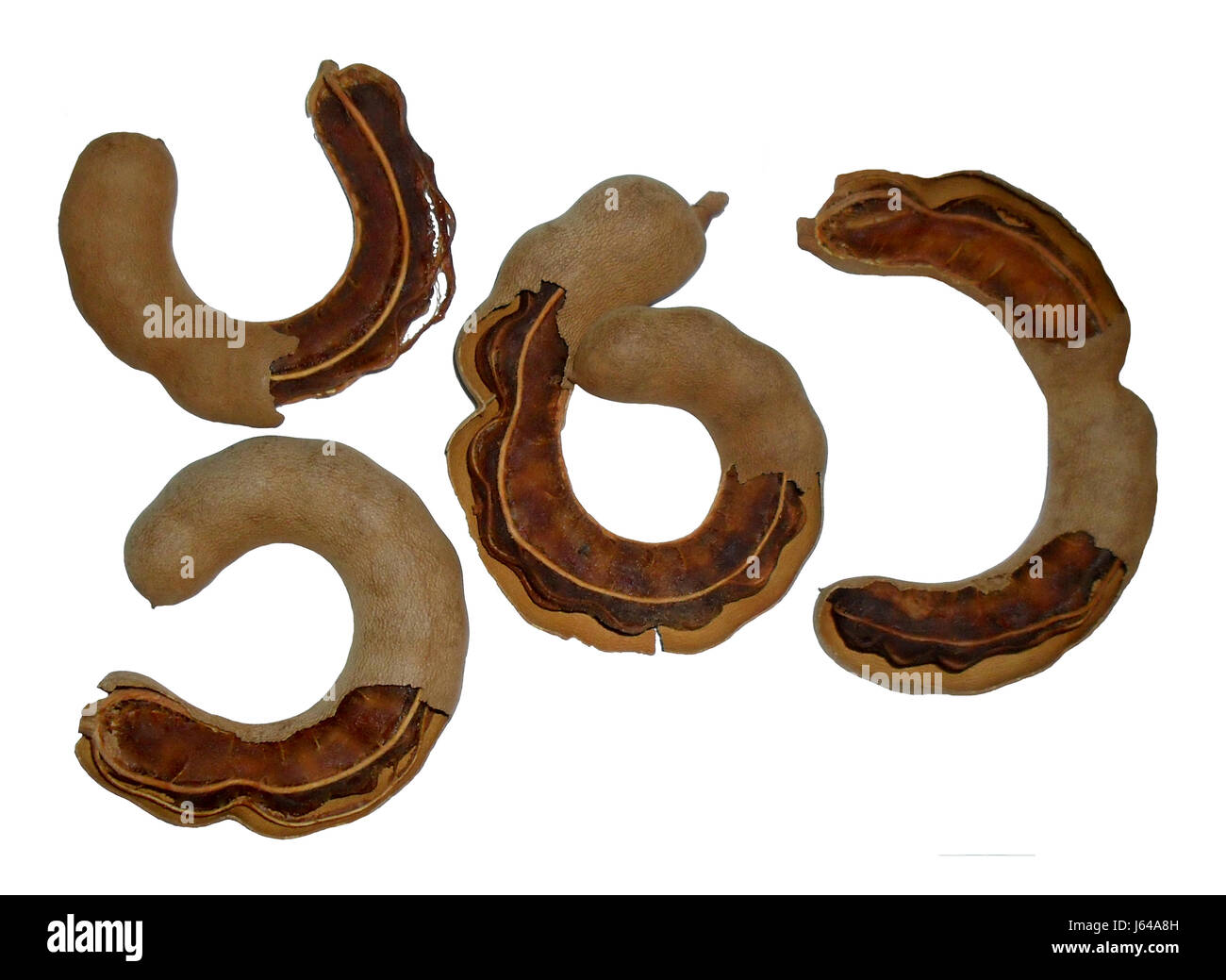 Fresh sweet ripe tamarind with healthy fruit. Selective focus and toned ...