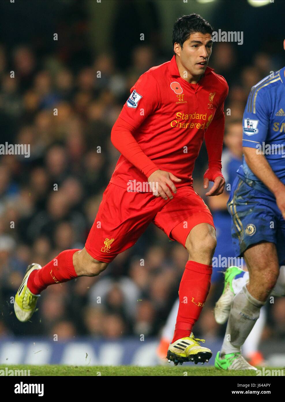 LUIS SUAREZ LIVERPOOL FC LONDON ENGLAND UK 11 November 2012 Stock Photo ...
