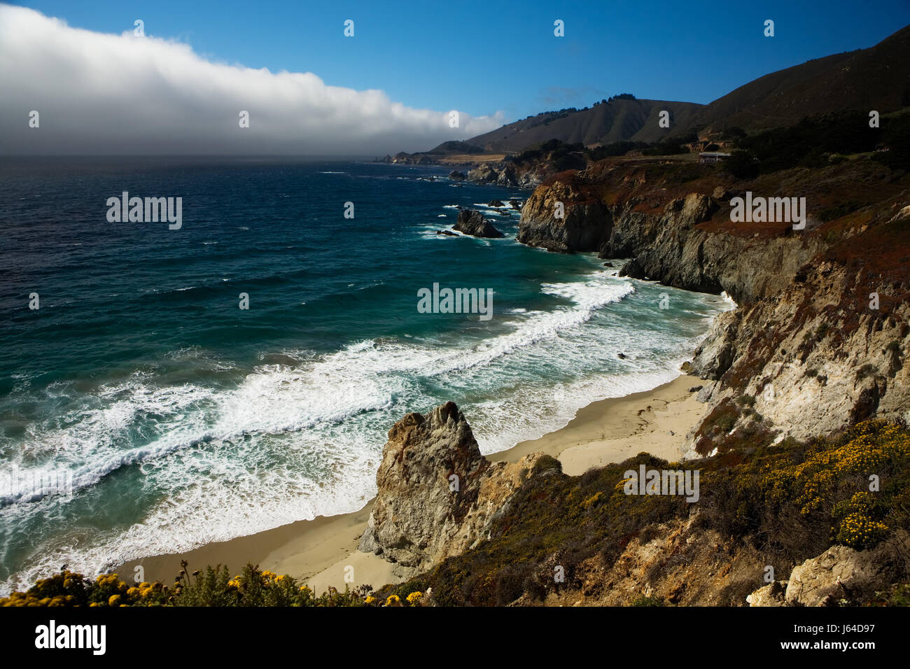 beach seaside the beach seashore california coast salt water sea ocean ...