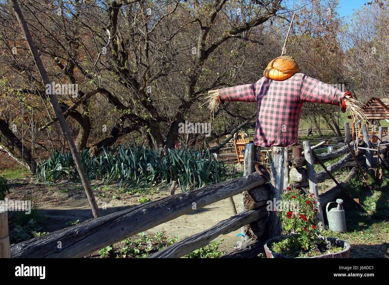 farm scarecrow rural peasant fall autumn garden field harvest fear ...