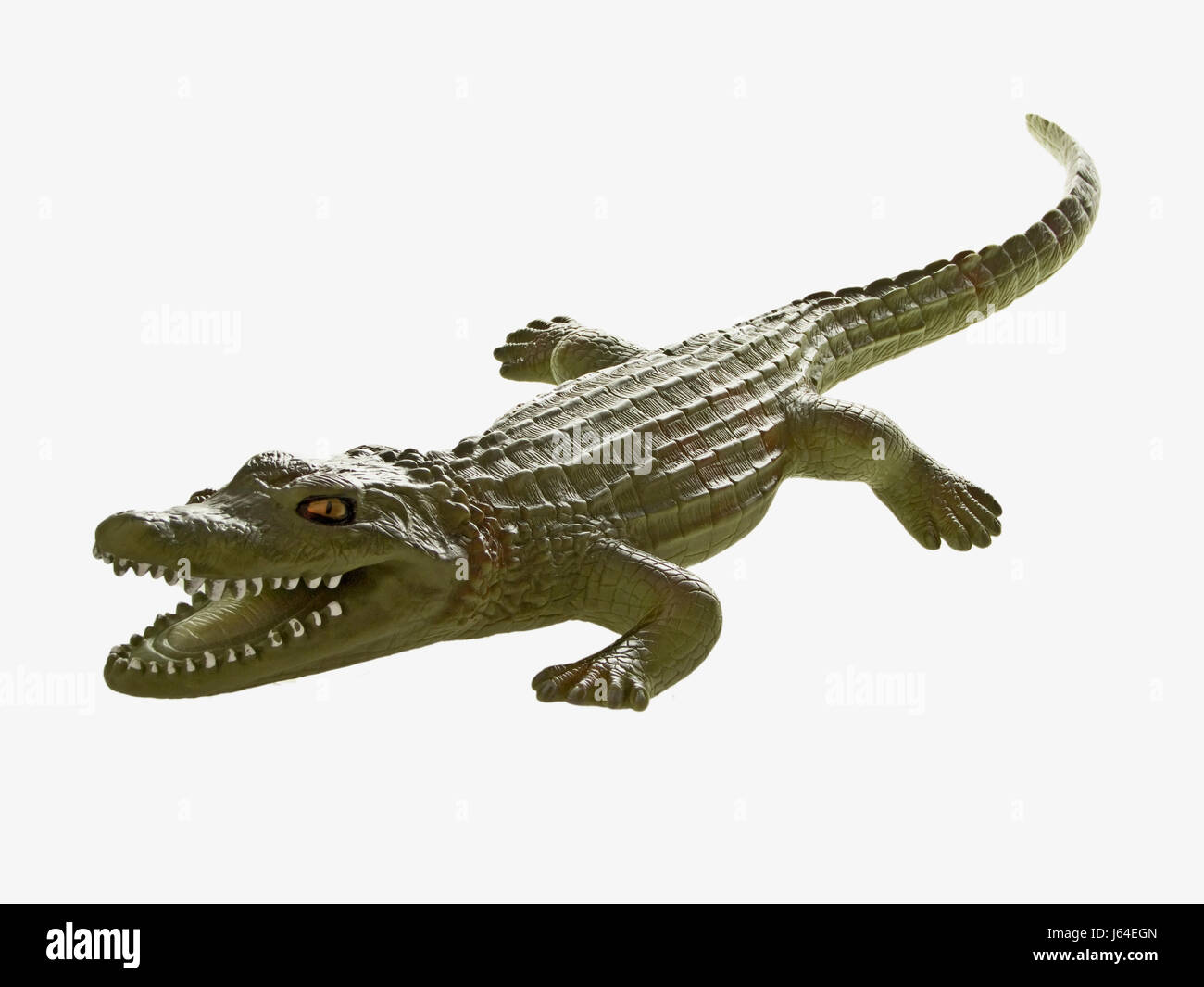 Rubber crocodile hi-res stock photography and images - Alamy