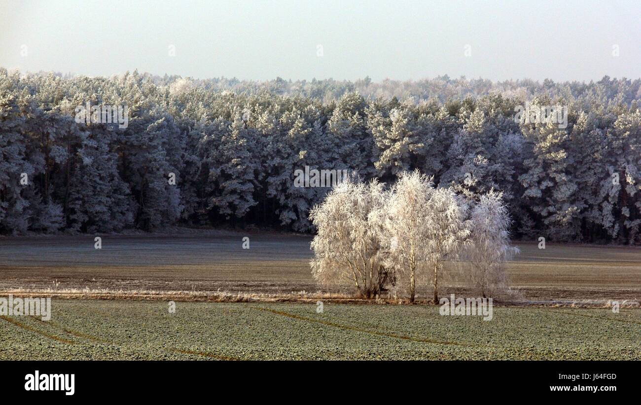 winter is coming Stock Photo - Alamy