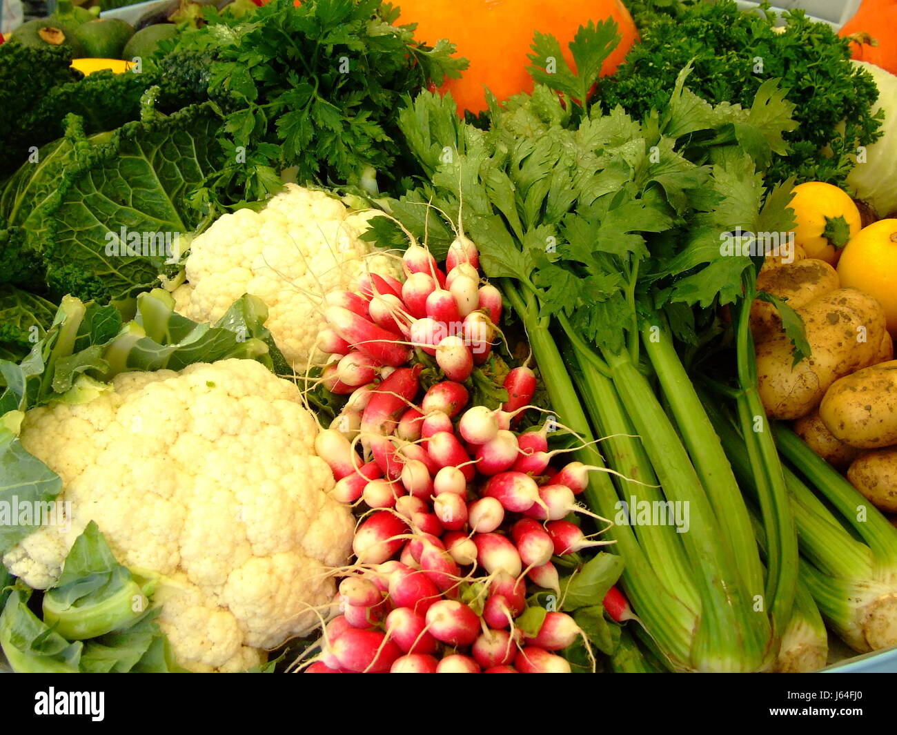 vegetable cabbage radish cauliflower sellery celery radishes potato ...