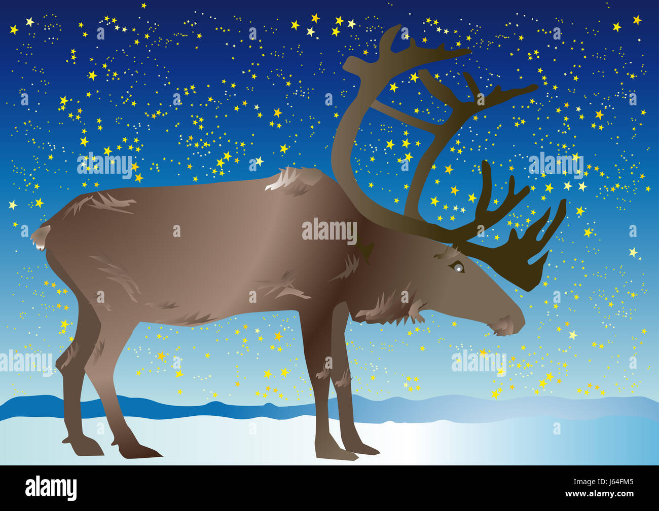 reindeer under a starry sky in the north Stock Photo - Alamy
