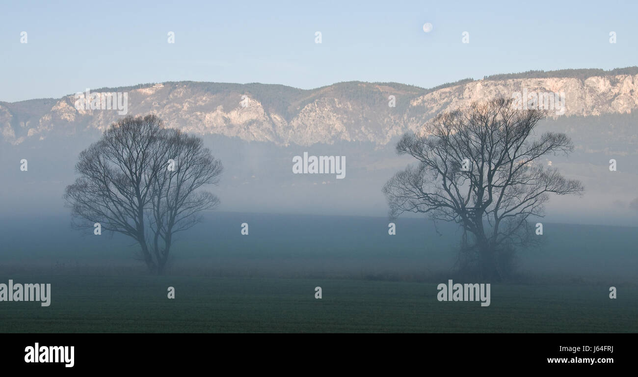 moon fields acre high hight height altitude wall elevation tree trees ...