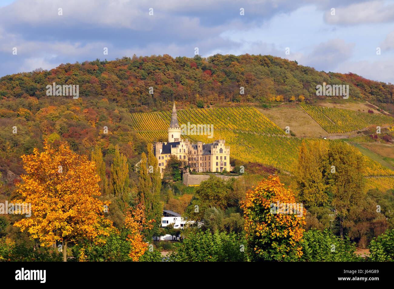 arenfels castle at bad hnningen rhein Stock Photo - Alamy