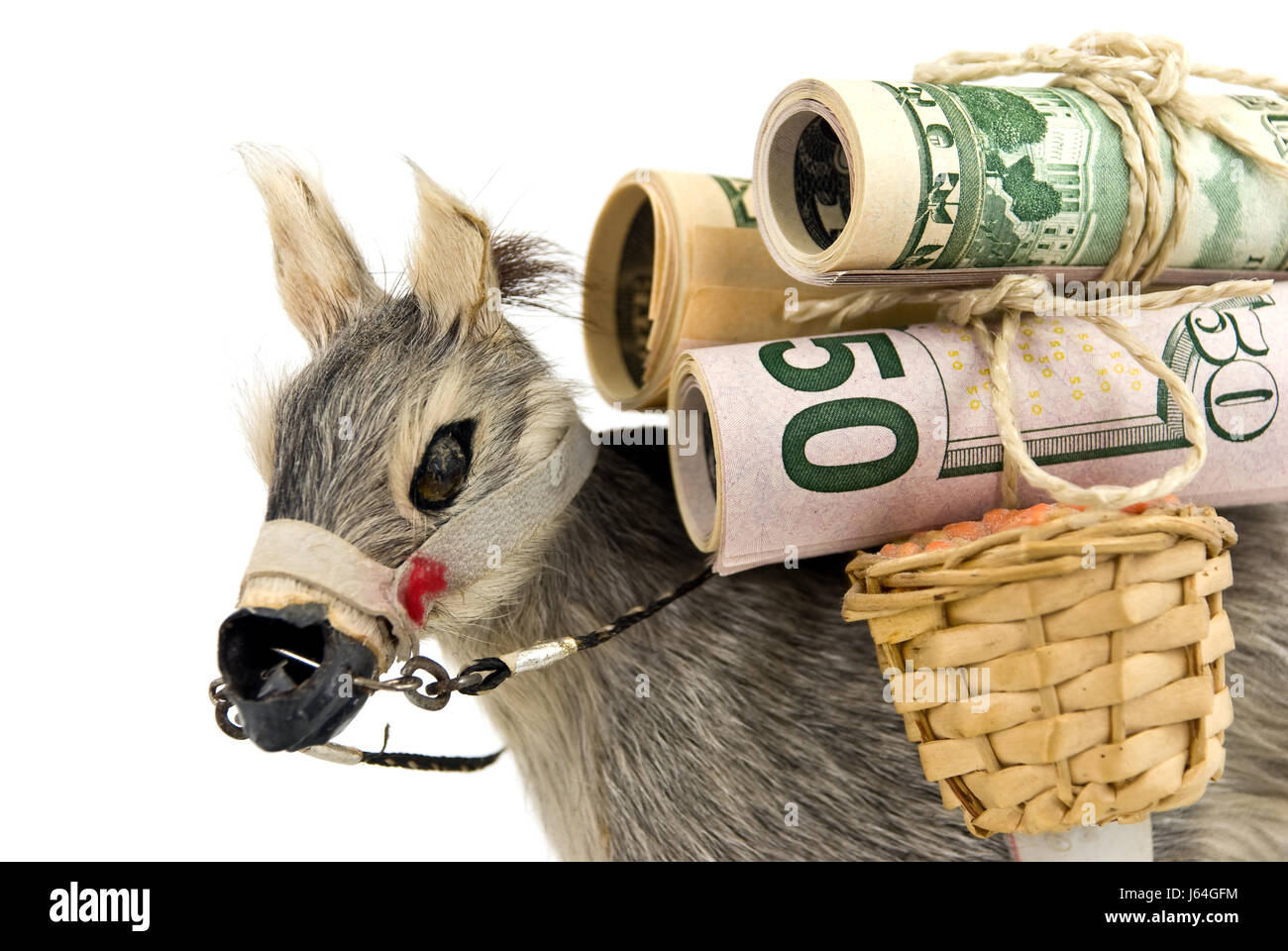 gold - donkey Stock Photo - Alamy