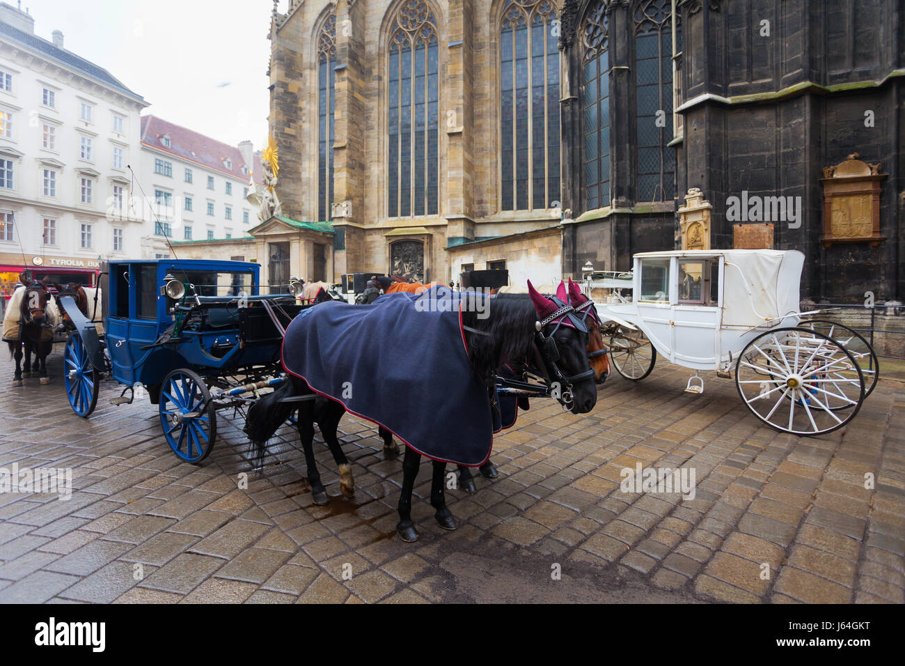 Traditional horse coach in front of Cathedral Saint Stefan, Vienna ...
