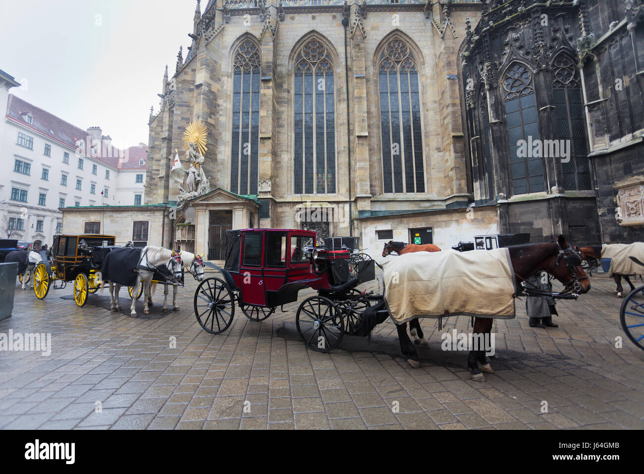 Traditional horse coach in front of Cathedral Saint Stefan, Vienna ...