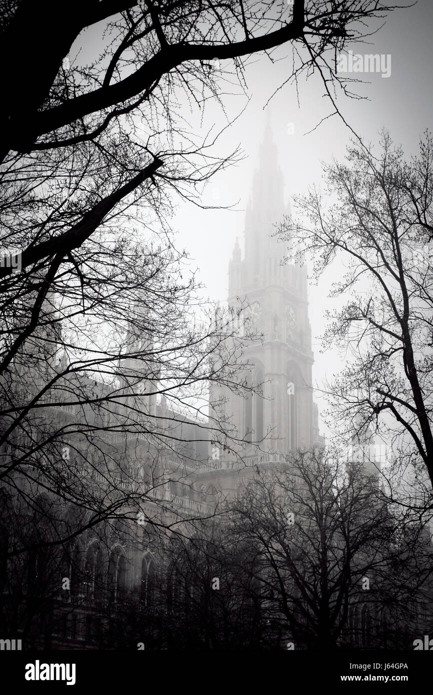 Vienna trees hi-res stock photography and images - Alamy