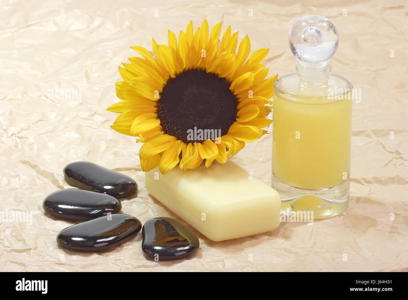 health hygiene soap shower bath health studio photography well being ...