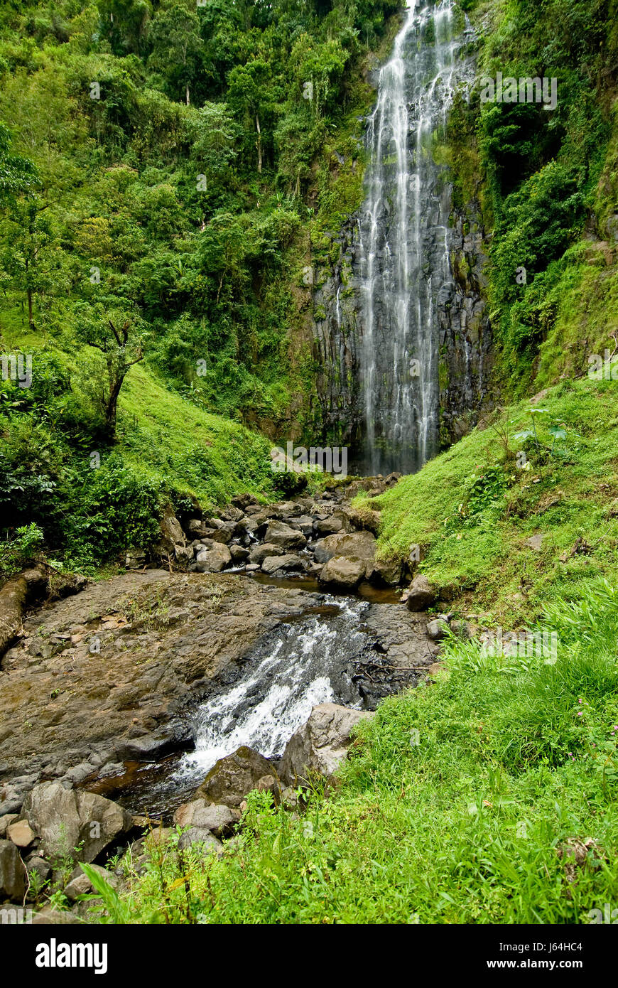 Kilimanjaro tanzania waterfall hi-res stock photography and images - Alamy