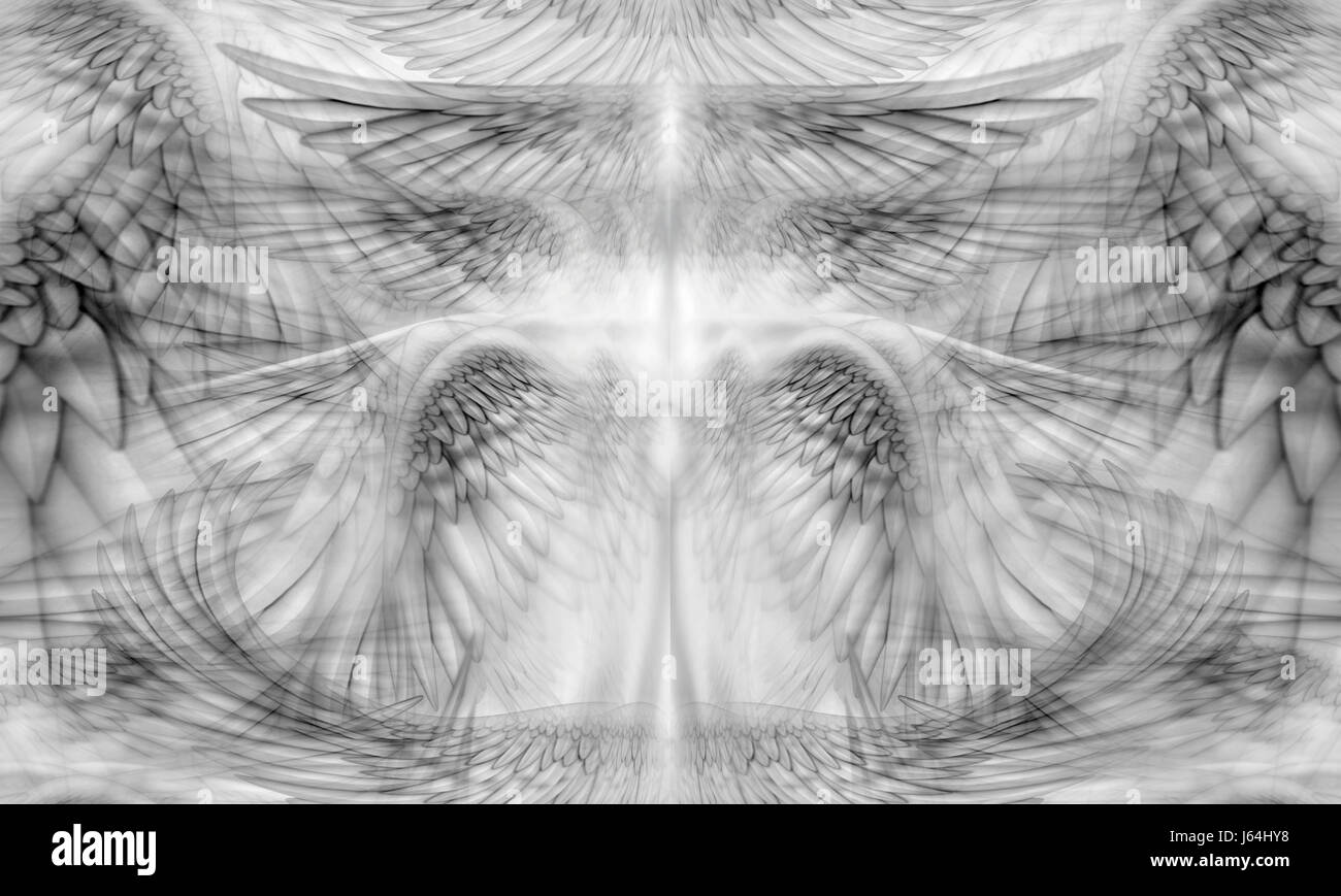 Tileable, seamless, background pattern panel filled with wings Stock ...