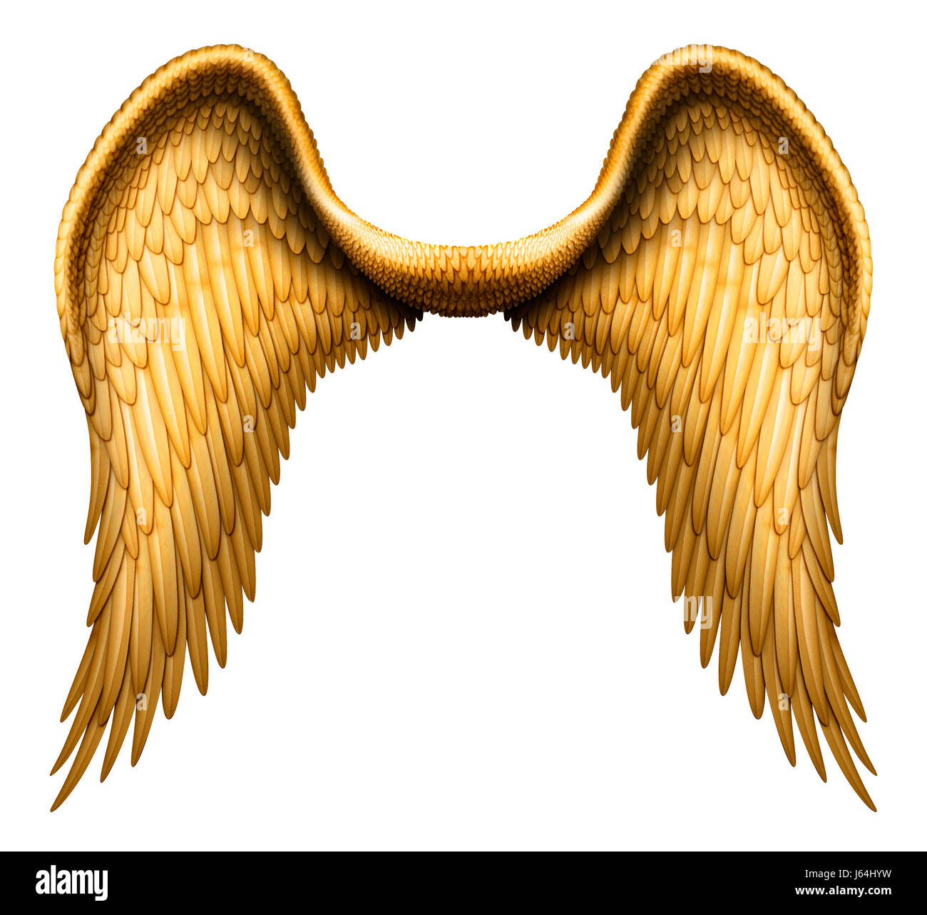 Digital illustration of angel wings. Isolated on white and with a ...