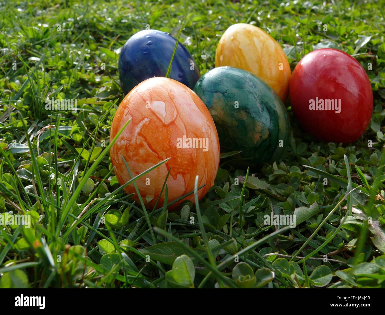 coloured colourful gorgeous multifarious richly coloured easter tinted ...
