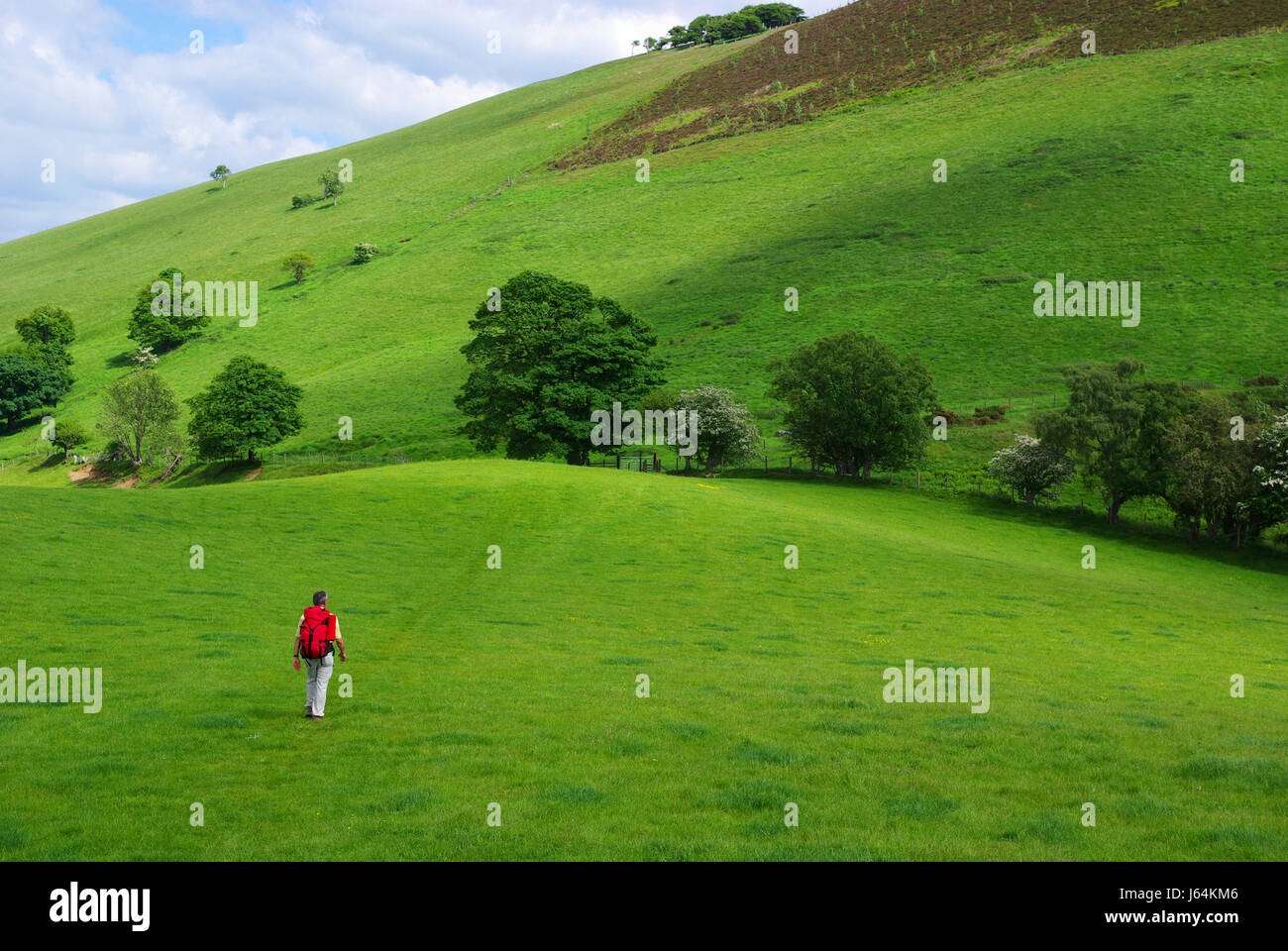 walk go going walking hike go hiking ramble rambler nordic walking ...