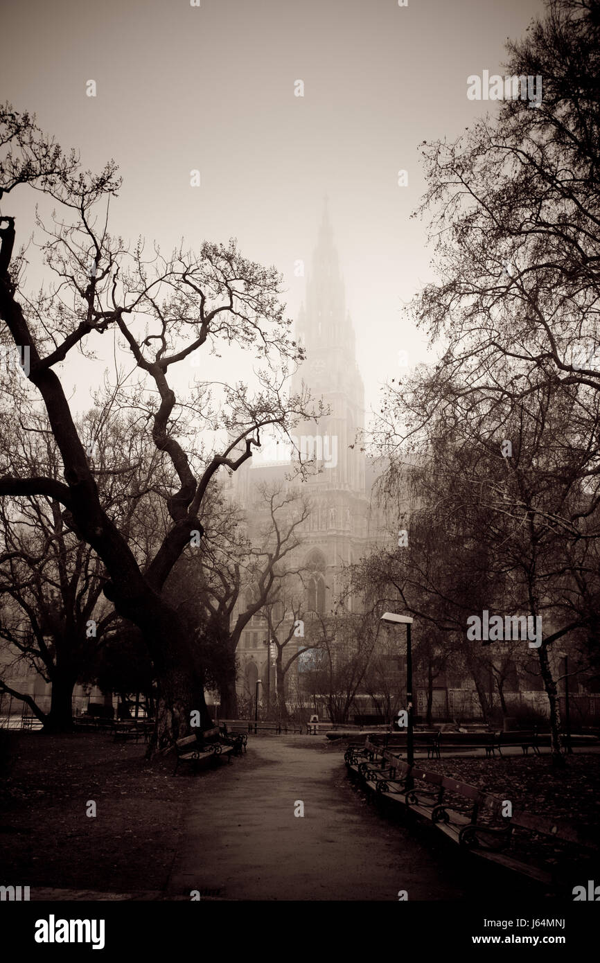 Tree in front of the city hall building of Vienna, Austria Stock Photo ...