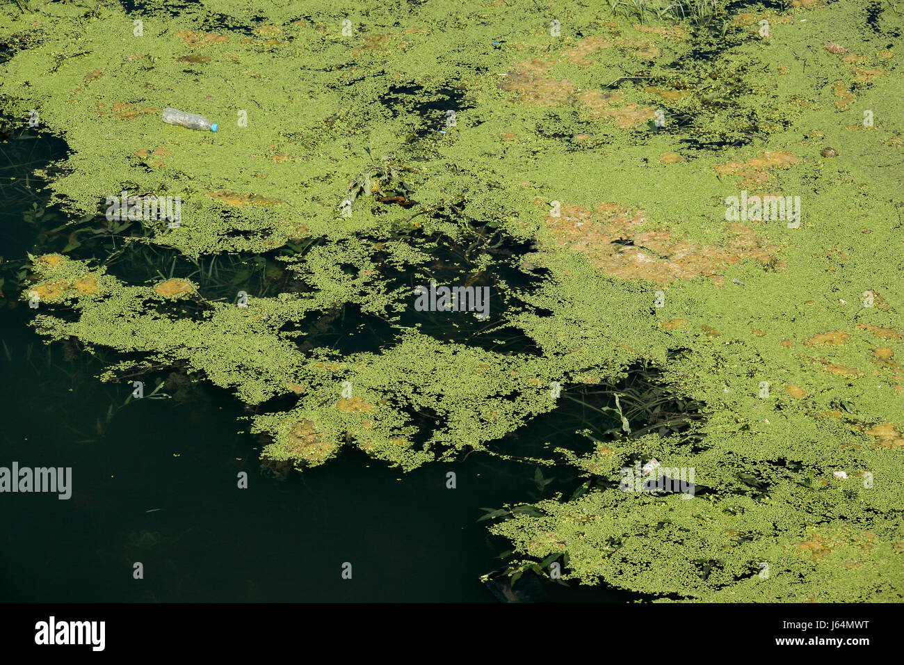 pollution dirty damage damages detriments fresh water lake inland water ...