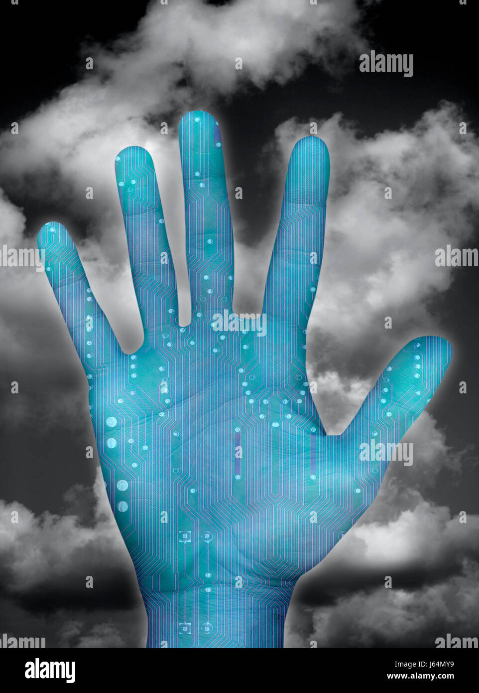 Hand anatomy hi hi-res stock photography and images - Alamy
