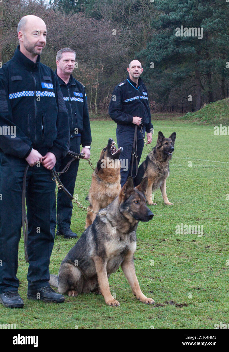 Suffolk Constabulary High Resolution Stock Photography and Images - Alamy