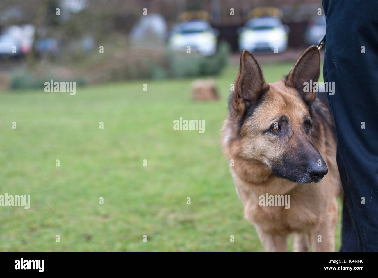 Suffolk constabulary hi-res stock photography and images - Alamy