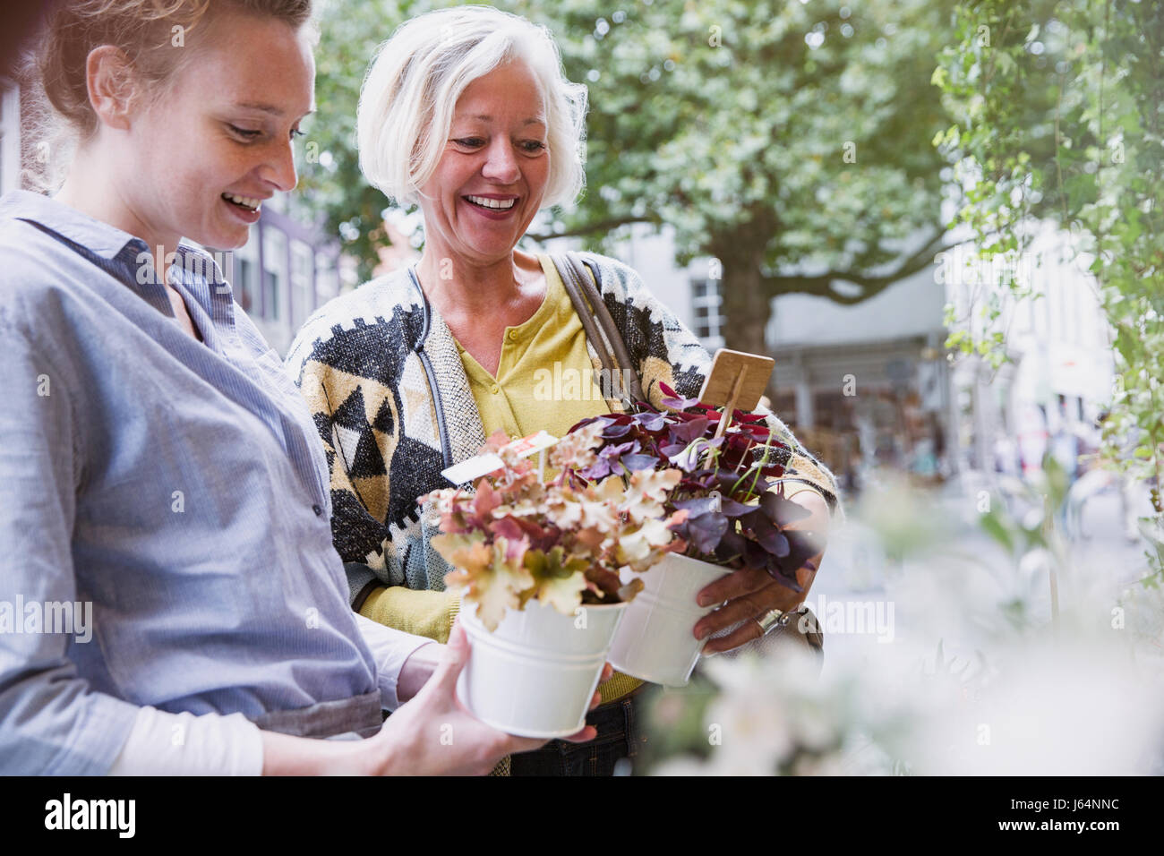 Florist showing potted plants to female shopper at storefront Stock ...