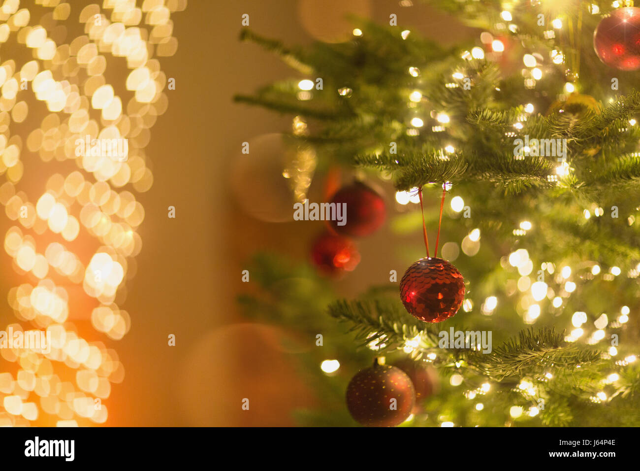 String tree hi-res stock photography and images - Alamy