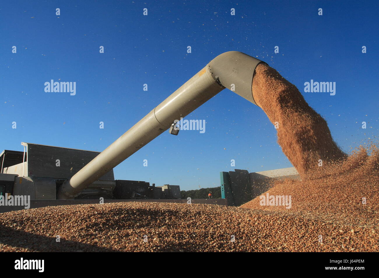 wheat harvester tree dust agriculture farming field grain ripe harvest ...