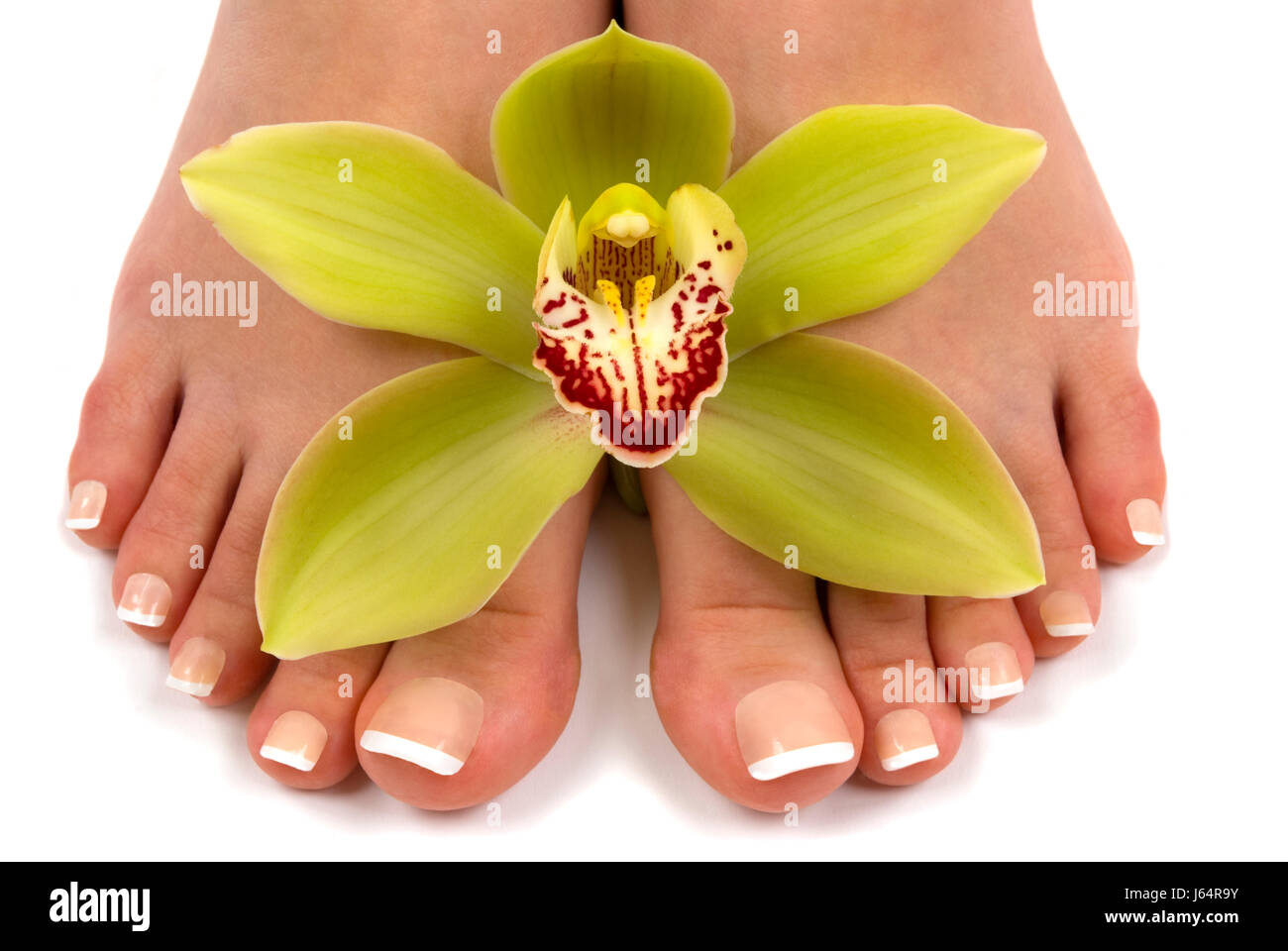 flower plant foot feet treatment bathing resort spa mineral spring ...