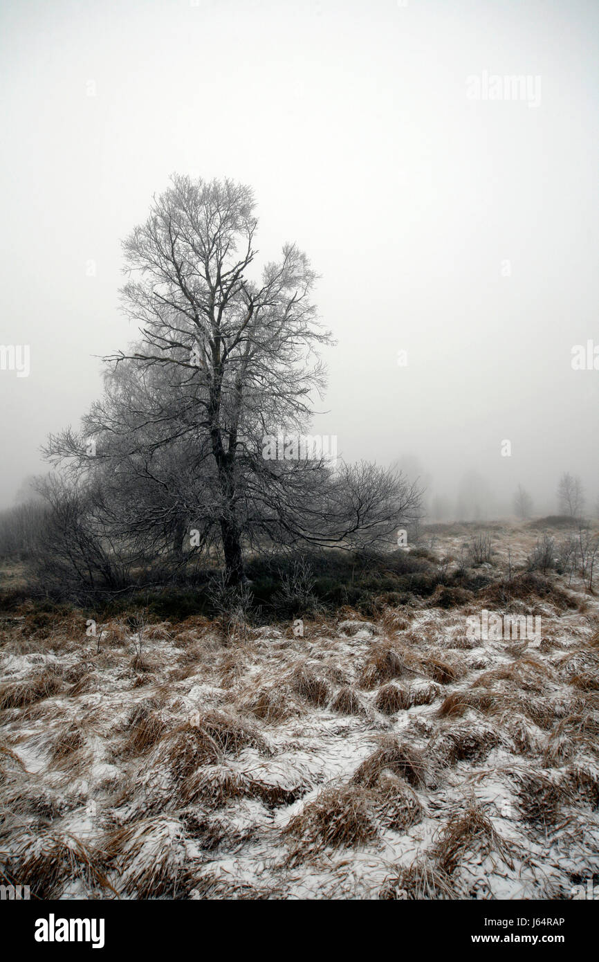 winter in the high fens Stock Photo - Alamy