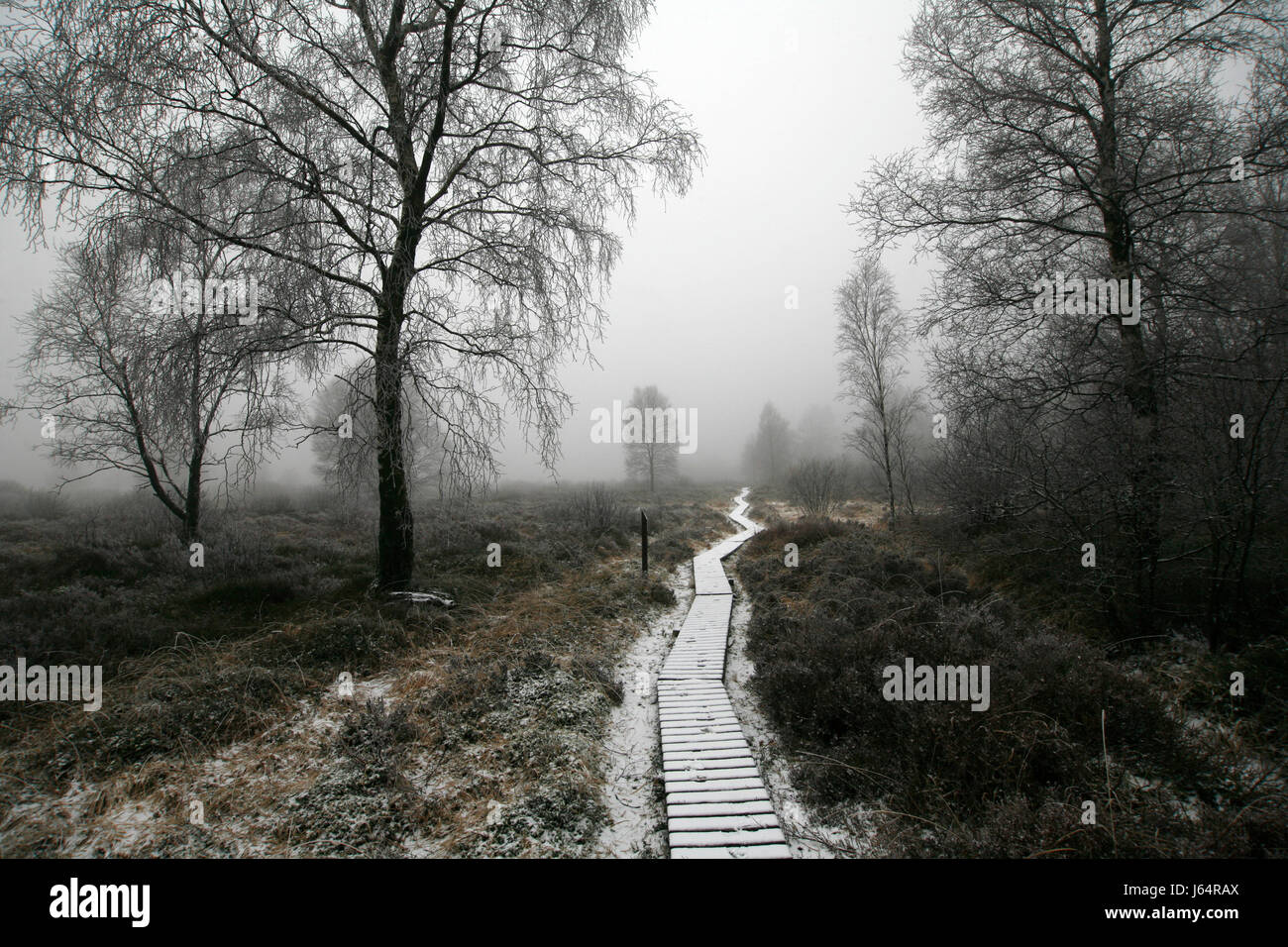 winter in the high fens Stock Photo - Alamy