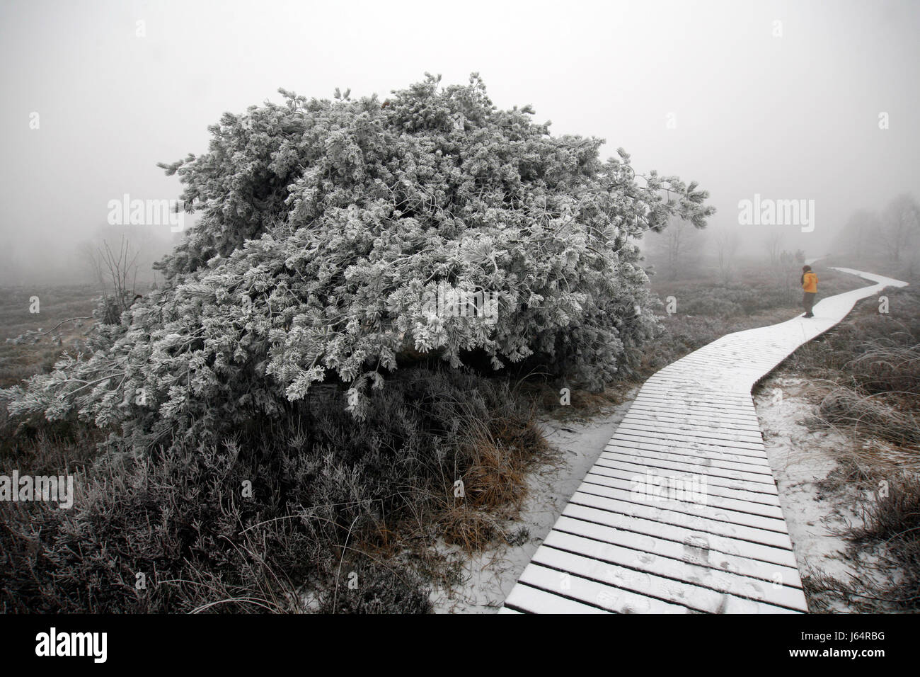 High fens hi-res stock photography and images - Alamy