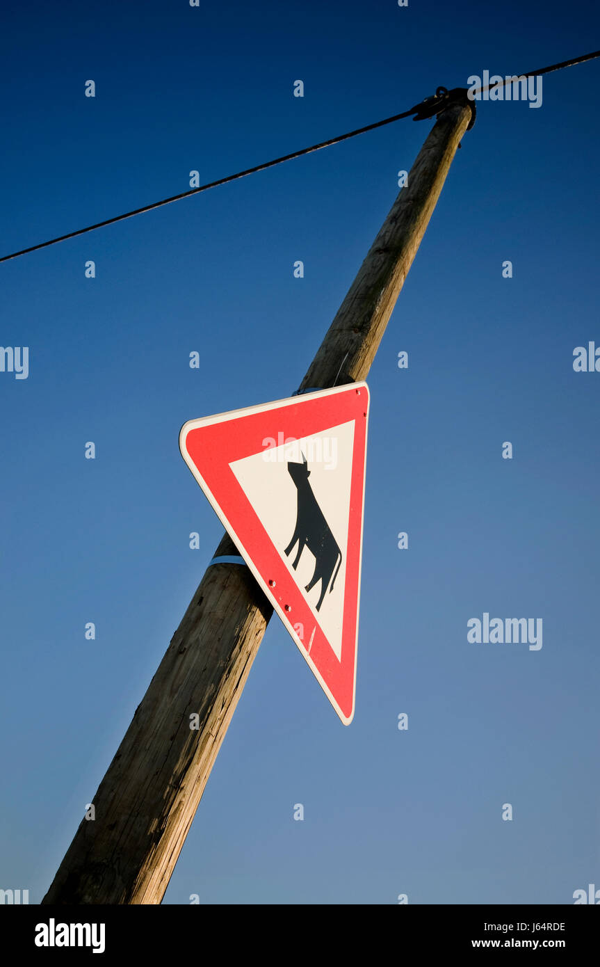 sign signal blue agriculture farming diagonal cow traffic sign mast ...