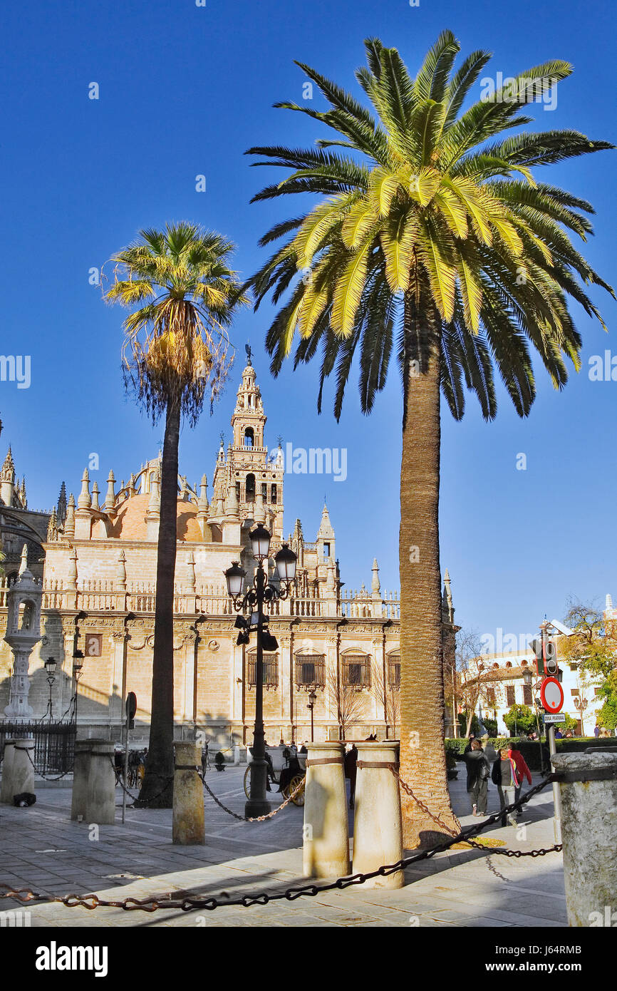 church spain palms andalusia seville palmtrees tower religion church ...