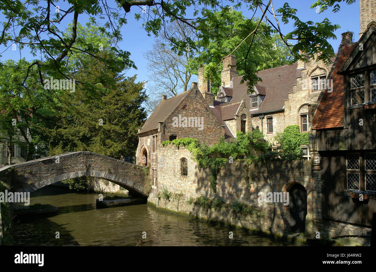 bridge old town channel belgium medieval bruges historical tree trees ...