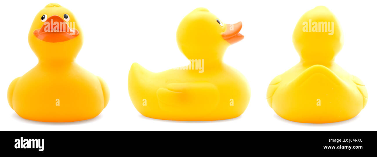 toy rubber bath bathroom side yellow back duck front toy front view ...