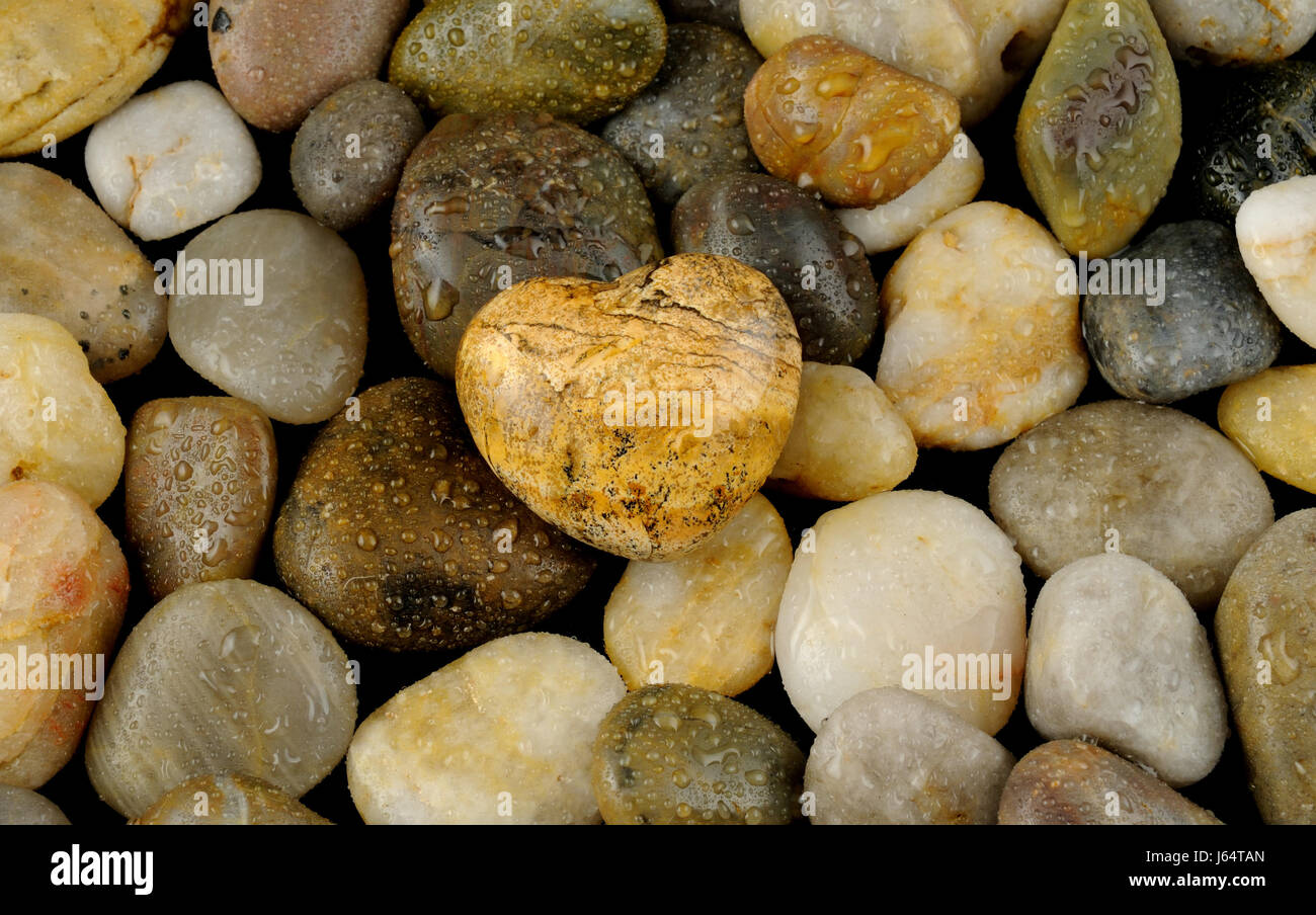 stone valentines day silicic pebbles pebble love in love fell in love ...